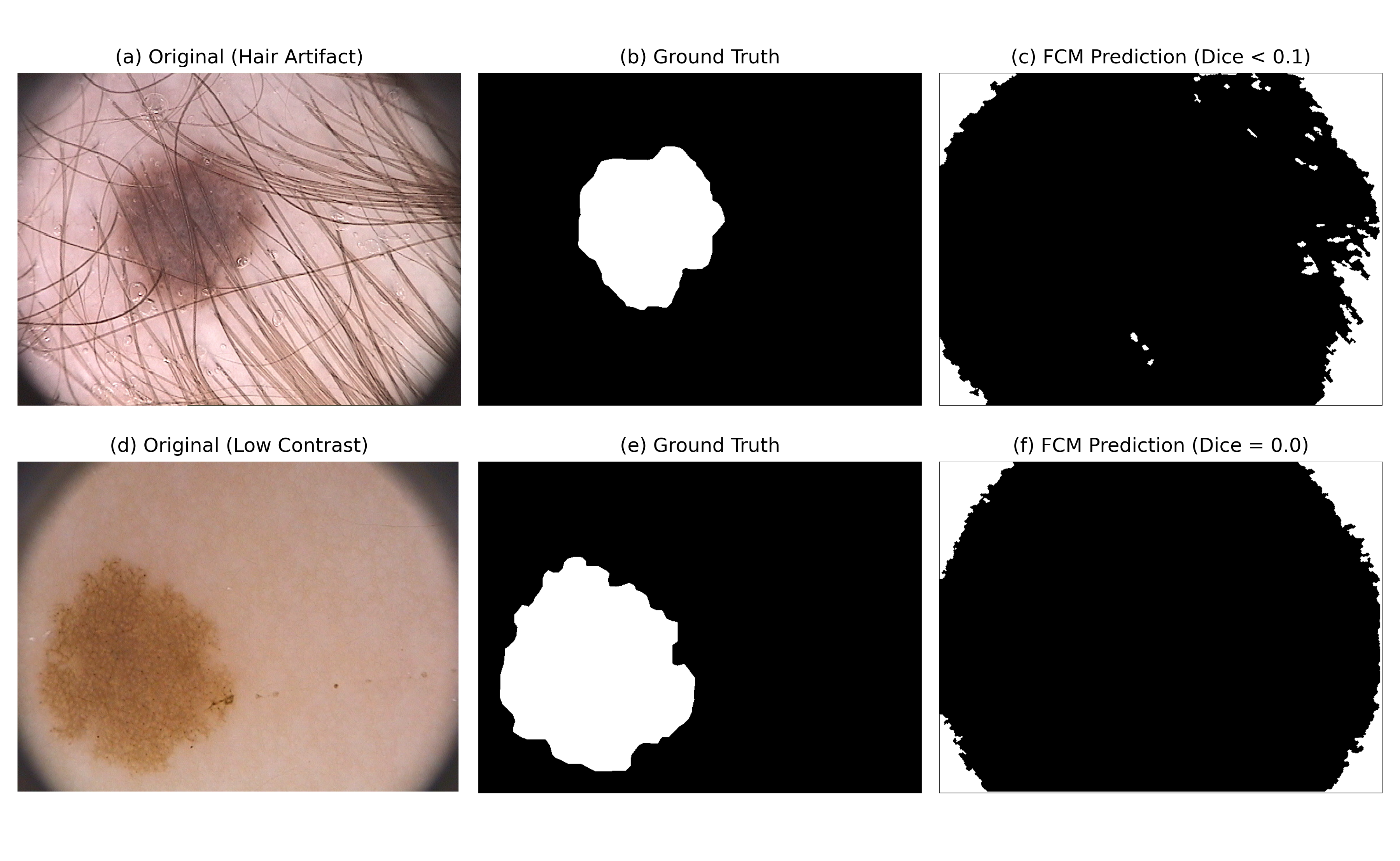 Zuha Fatima — Medical AI Researcher