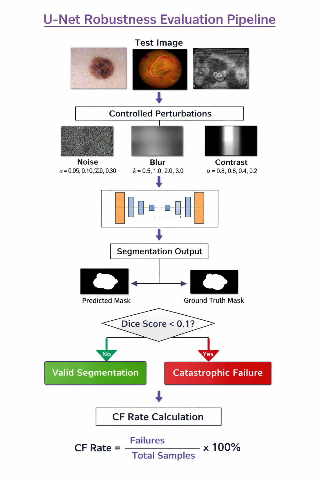 UNet Robustness Across DRIVE / BUSI / PH²
